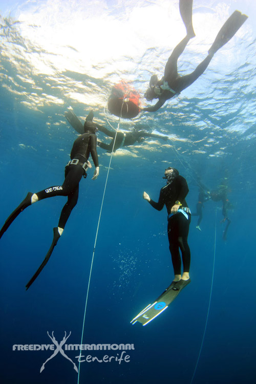 Freedive Training Week In Tenerife With Atlantis Freediving