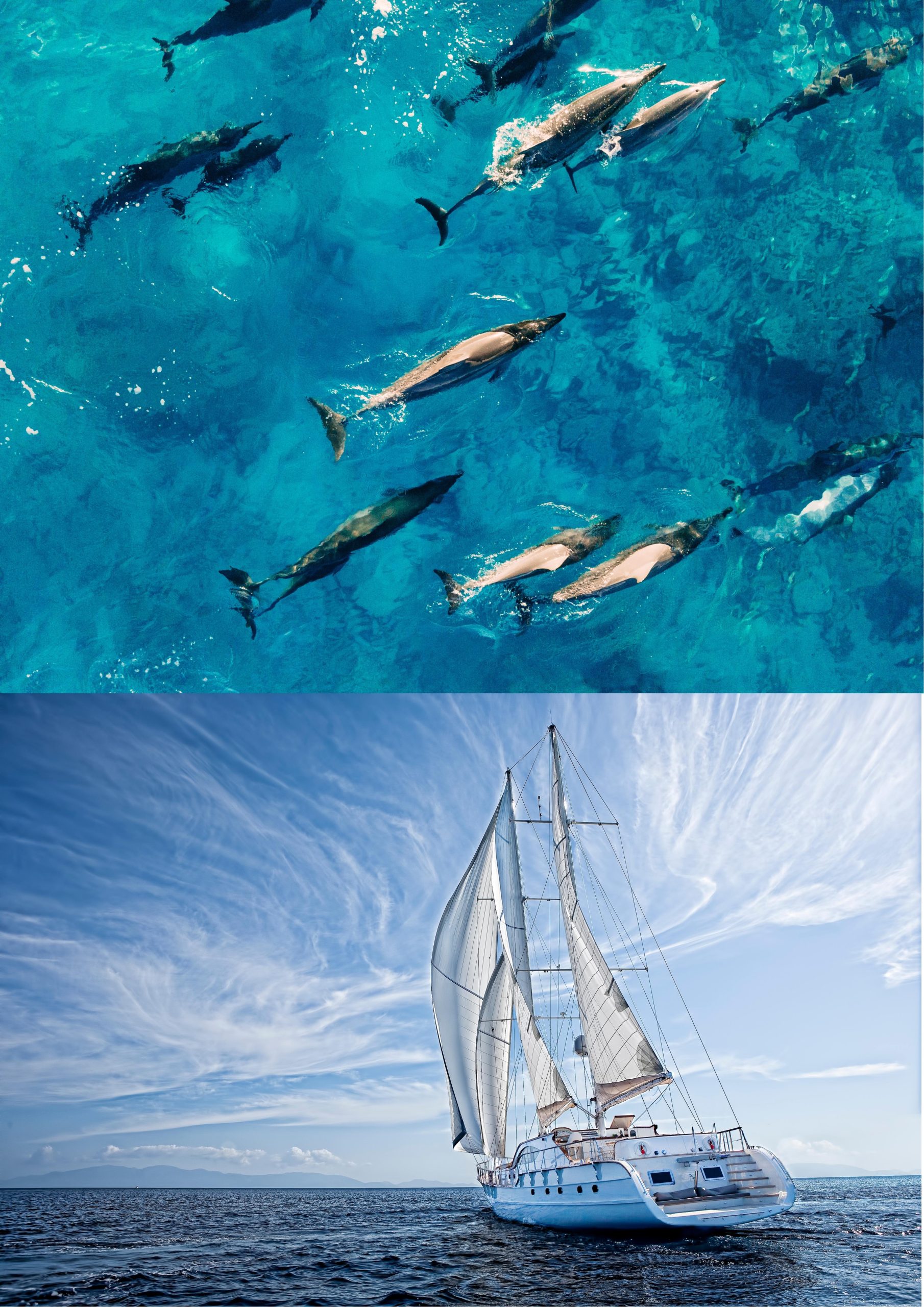 Freediving and sailing trip to Egypt | Atlantis Freediving | Freediving in Tenerife